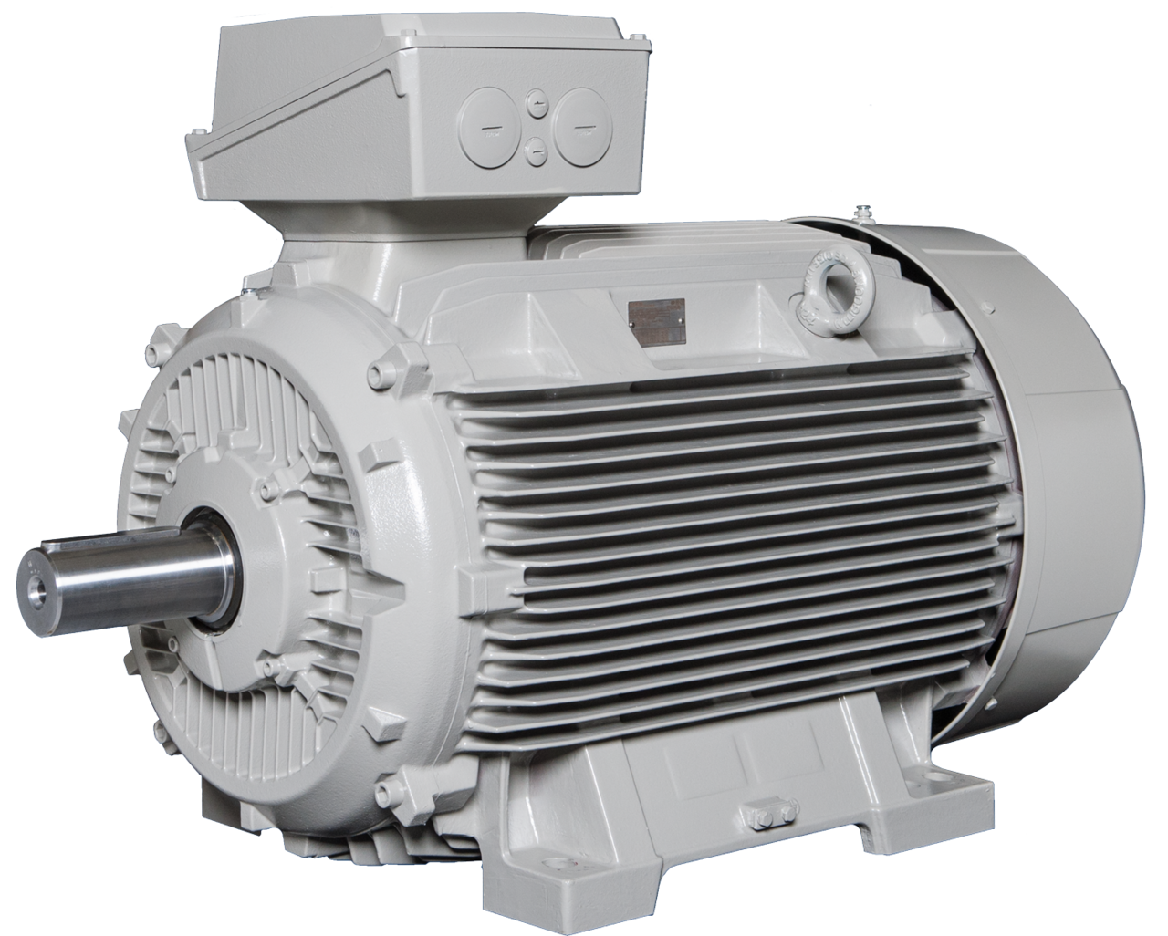 Explosion-proof motors | Clemens Lammers